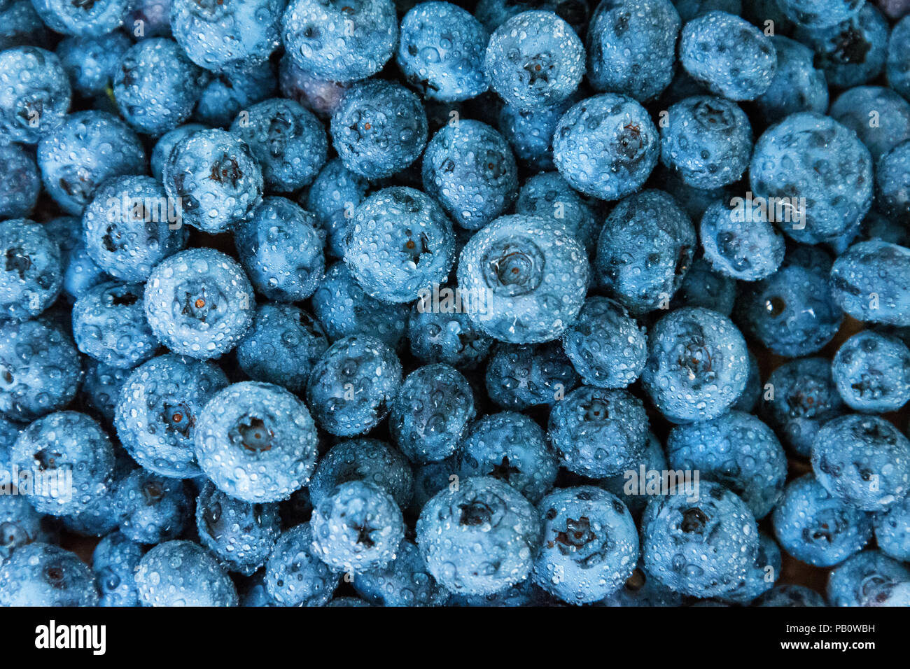 Fresh blueberry background. Blueberries texture close up Stock Photo ...