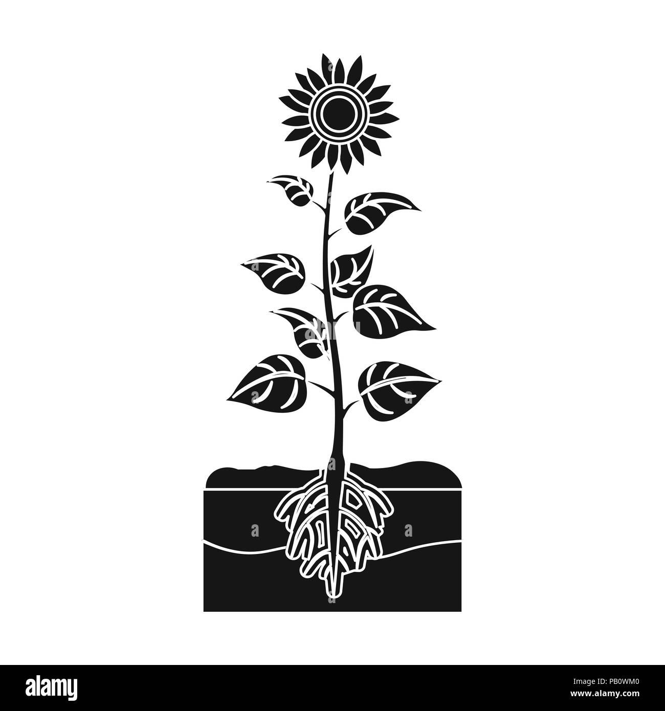 Sunflower, single icon in black style.Sunflower vector symbol stock ...