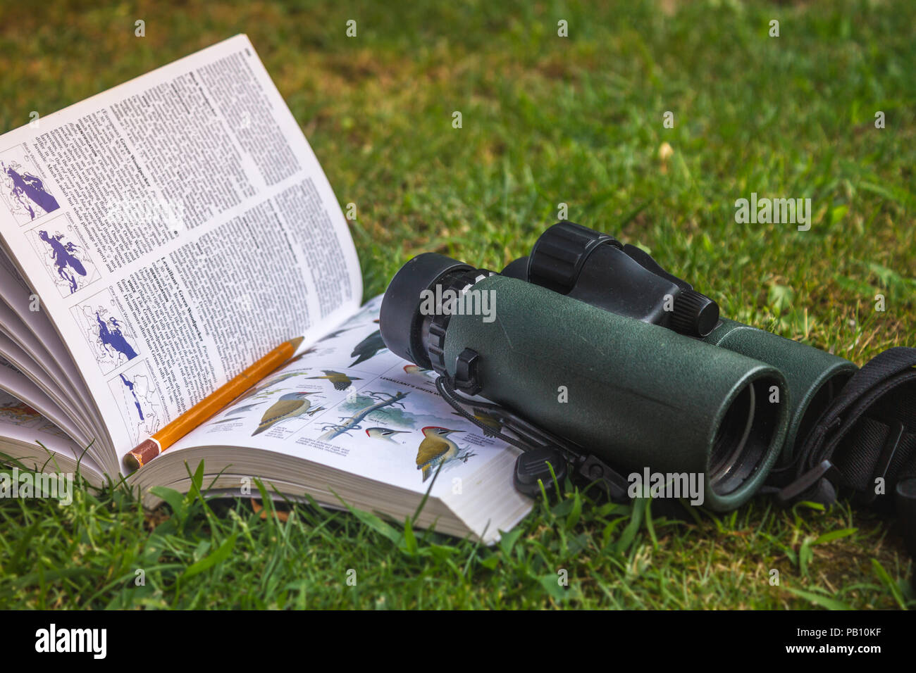 Bird identification guide hi-res stock photography and images - Alamy