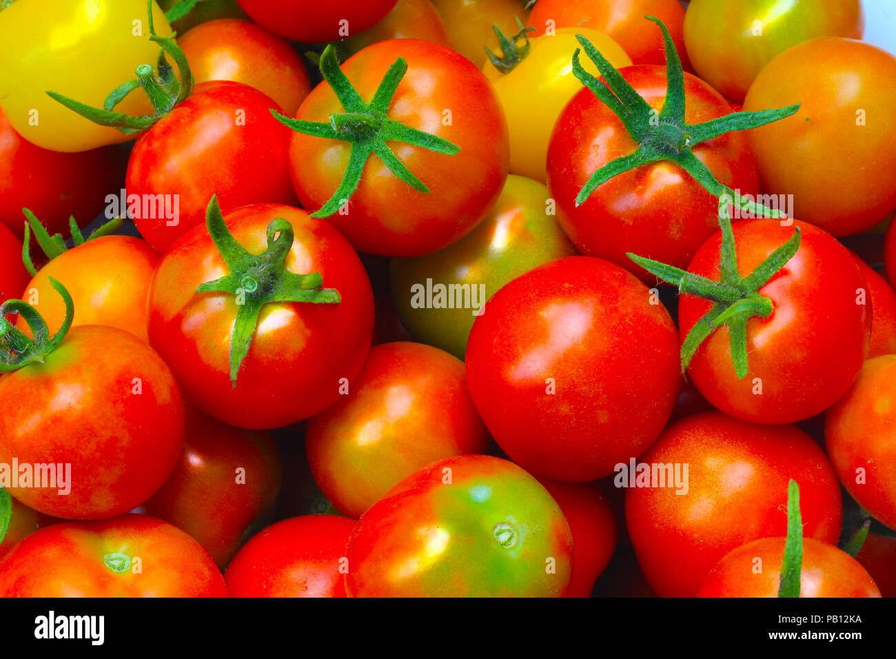 Many fresh red tomatoes Stock Photo - Alamy