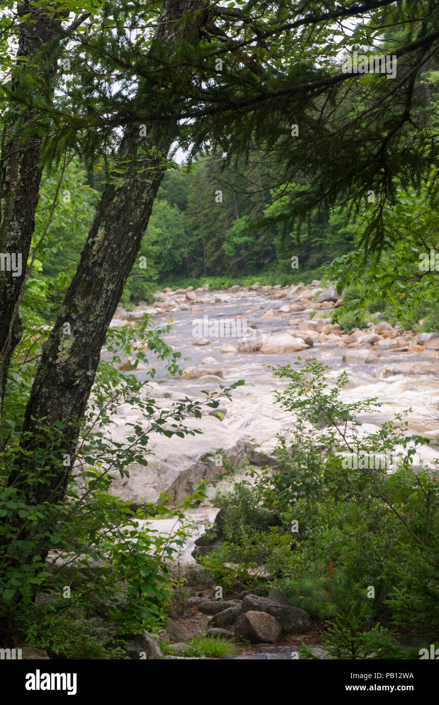 Water and Rocks and Trees are a scenic view Stock Photo - Alamy