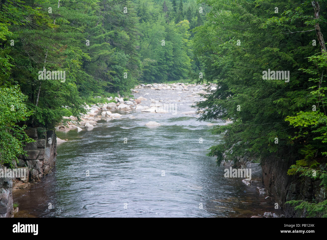 End Of Stream Is Quiet And Serene Stock Photo Alamy end-of-stream-is-quiet-and-serene-stock-photo-alamy
