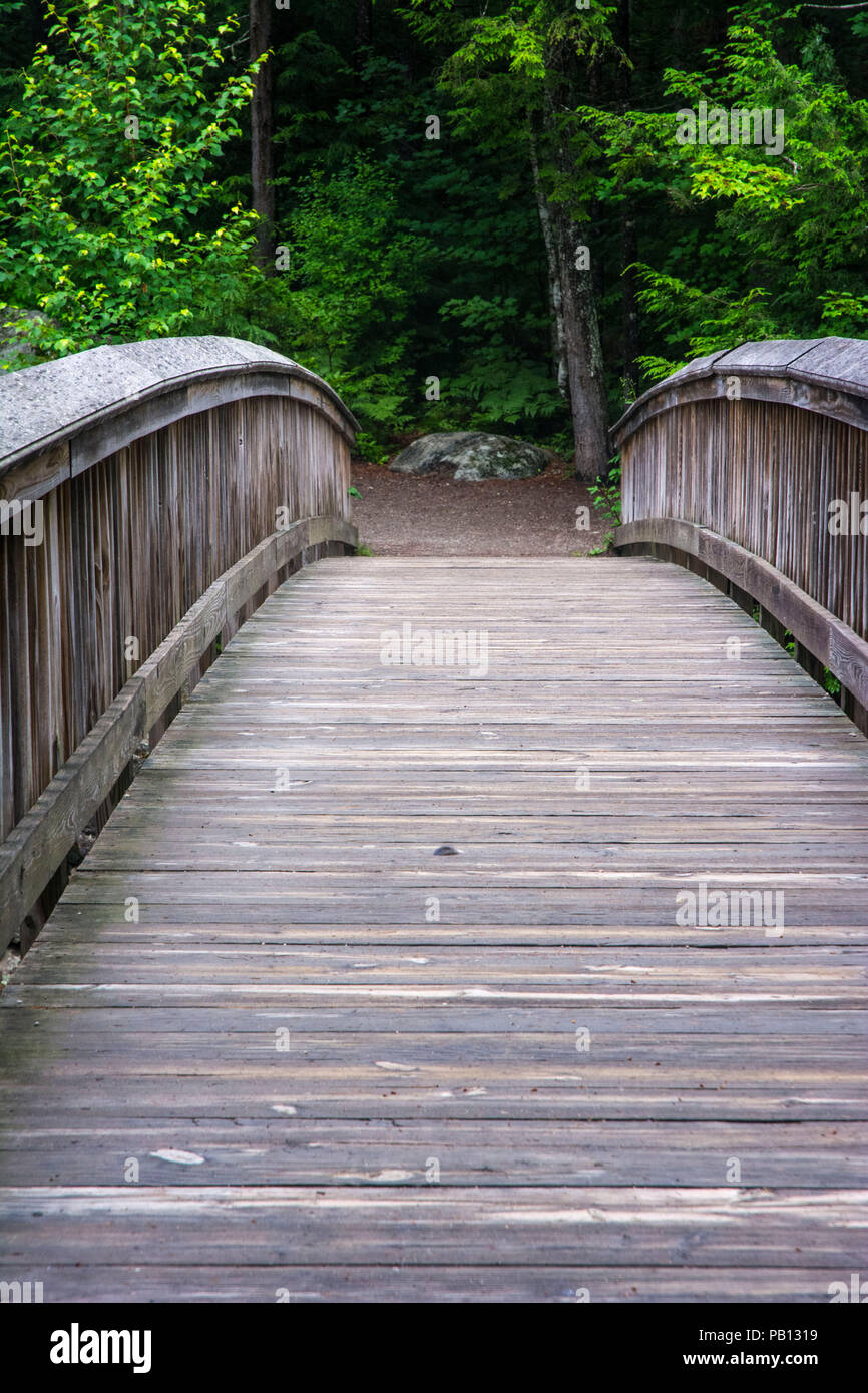 This wooden bridge connects the landscapes across the rushing river ...