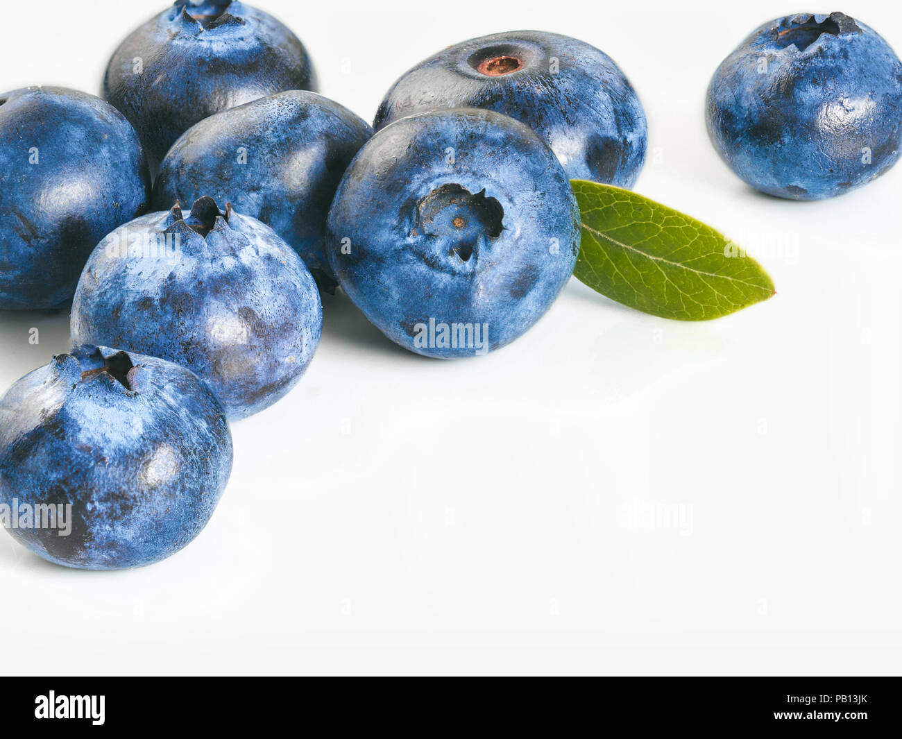 Blueberries isolated on white background. Creative layout of blueberry ...