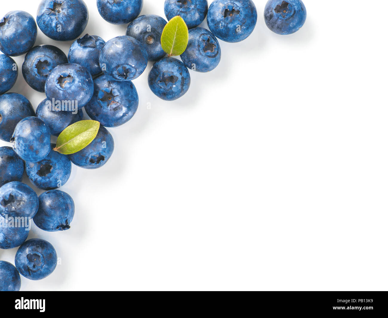 Blueberries isolated on white background. Creative layout of blueberry ...