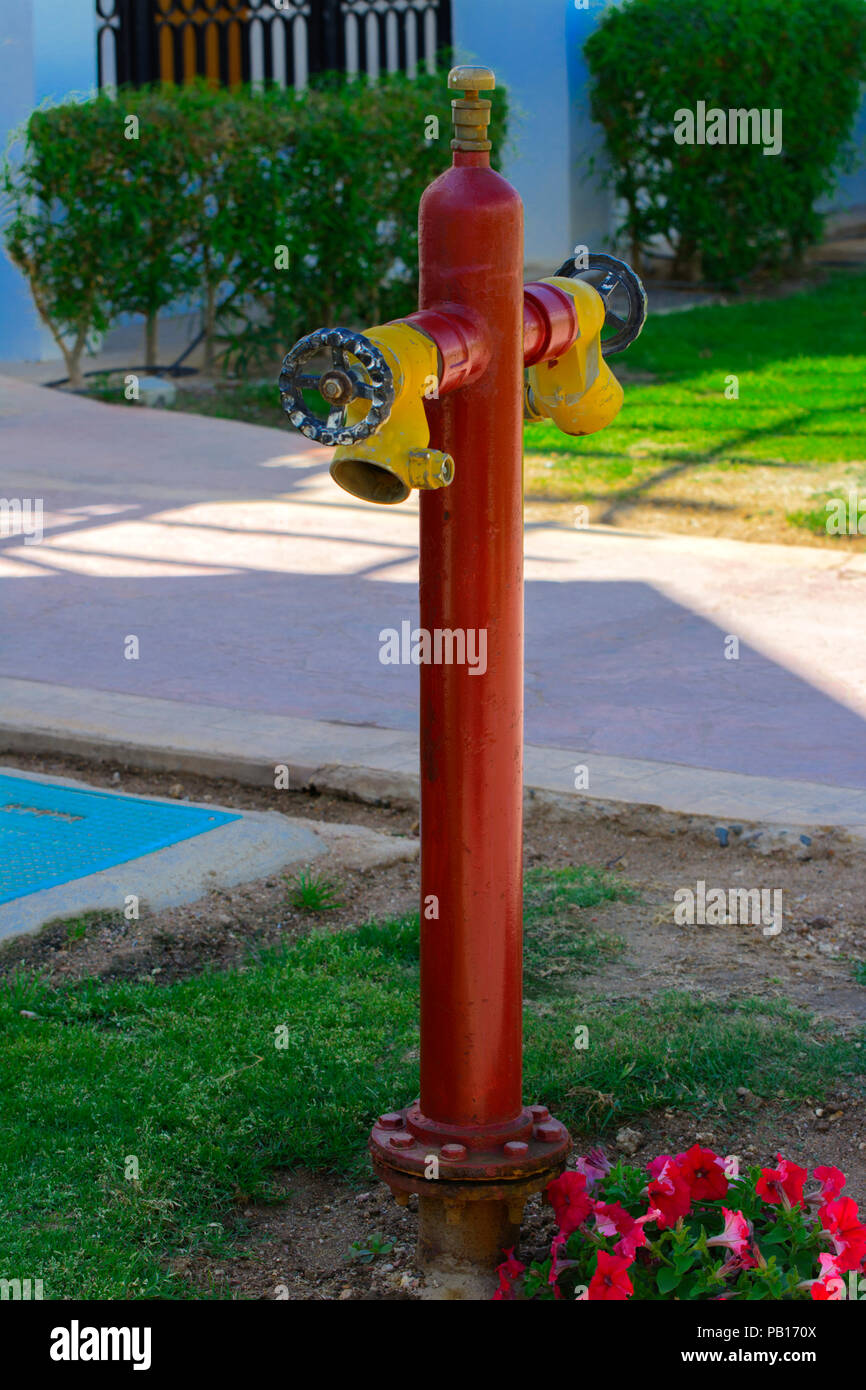 Red fire hydrant with yellow connectors. Fire hydrant or fire pump ...