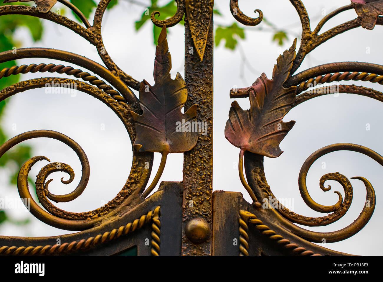 ornate wrought-iron elements of metal gate decoration Stock Photo - Alamy