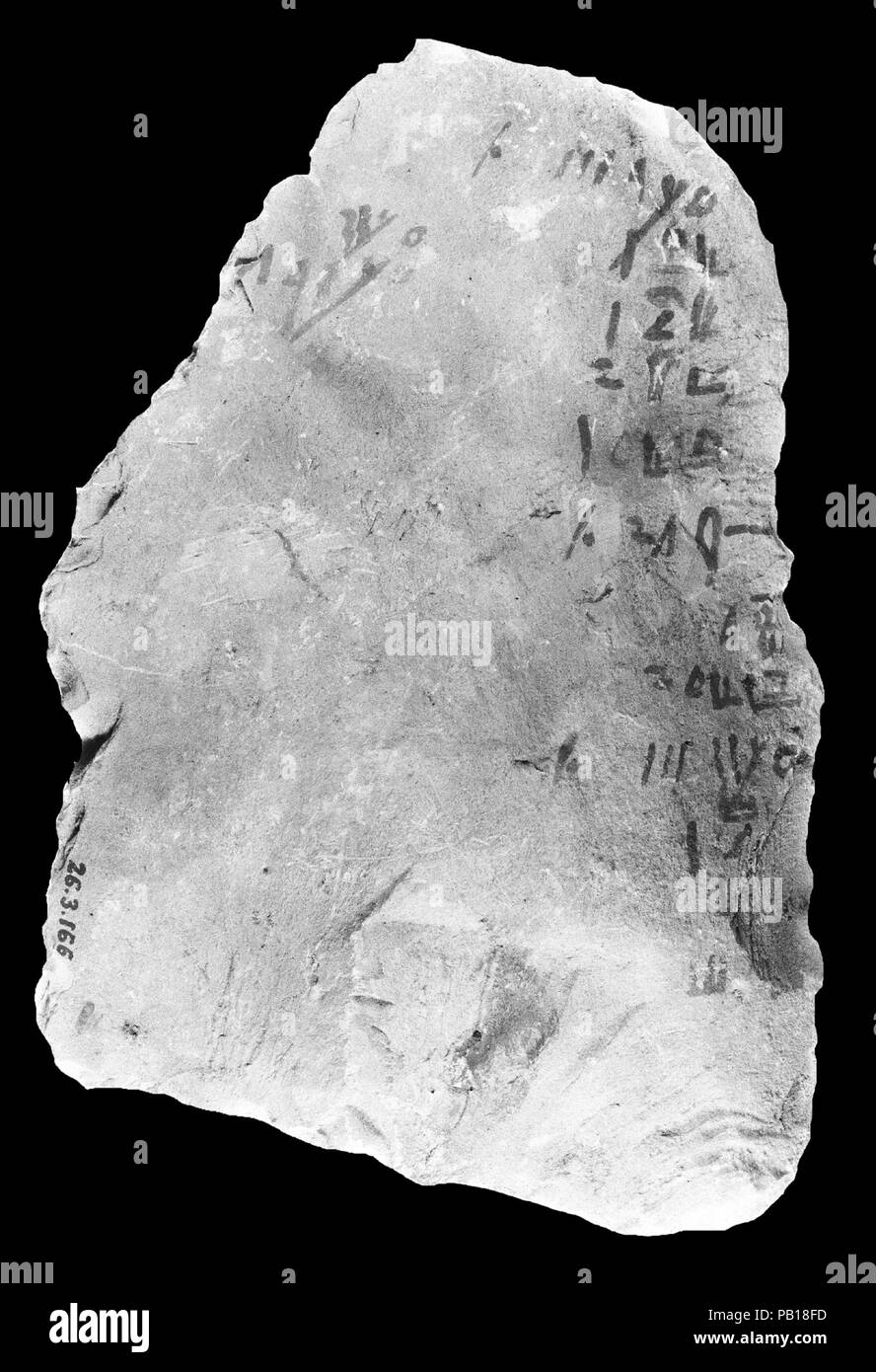 Ostracon Stock Photos & Ostracon Stock Images - Alamy