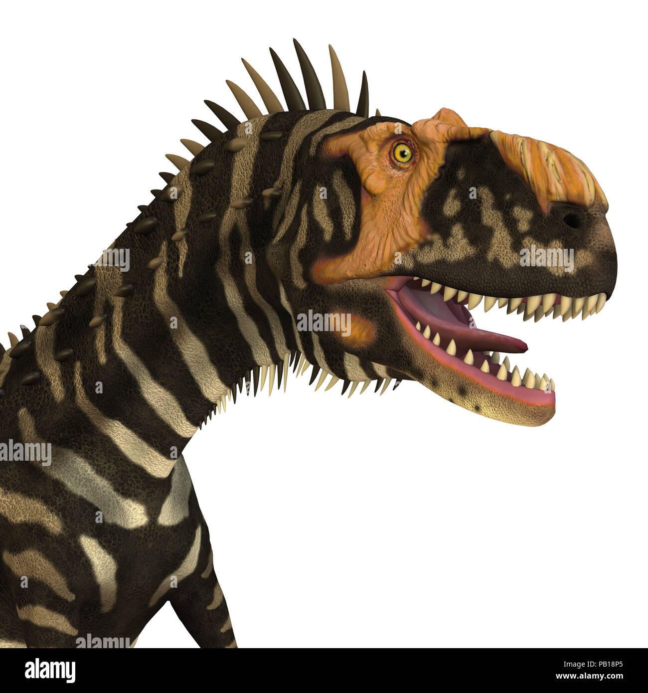 Rajasaurus narmadensis hi-res stock photography and images - Alamy