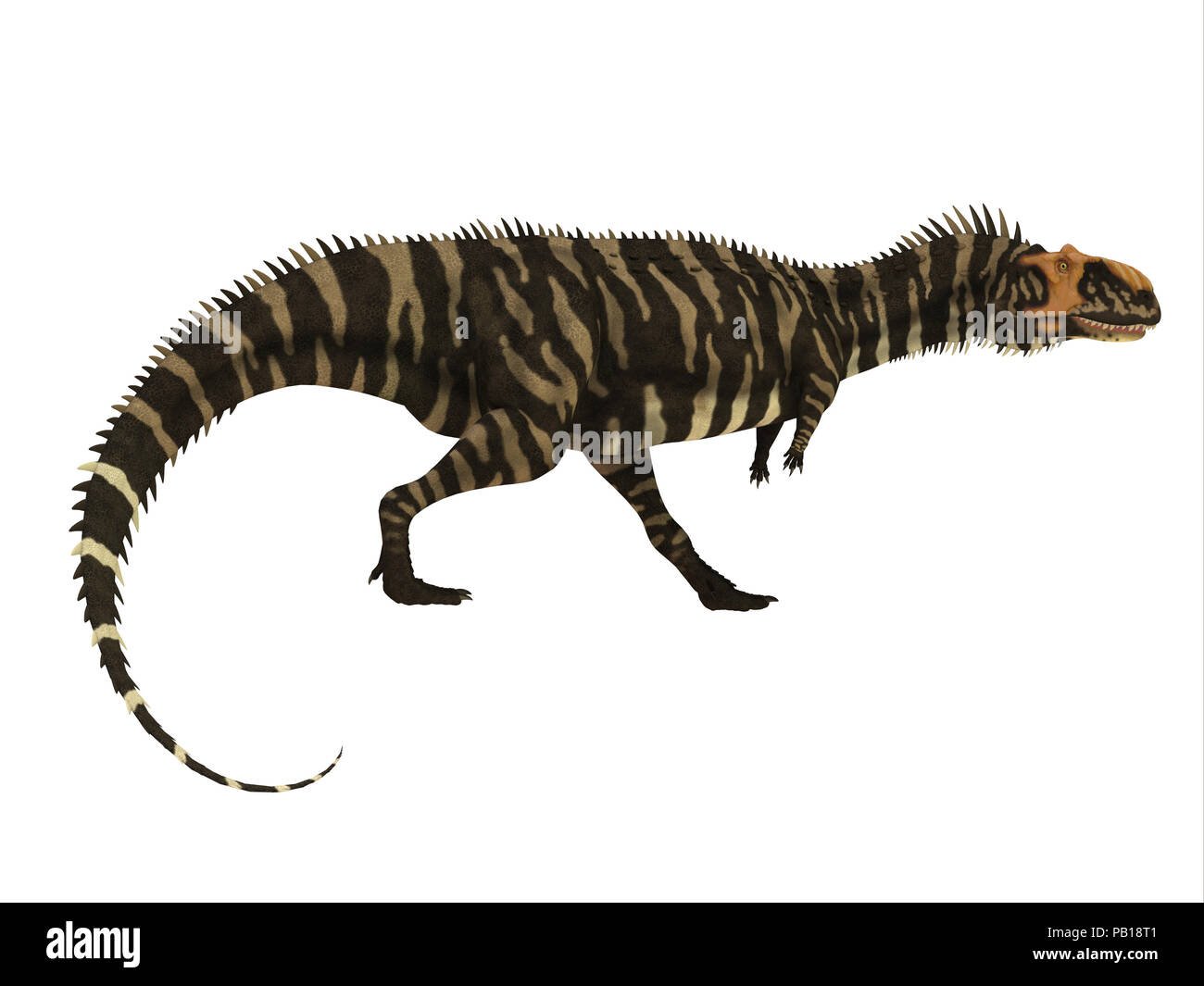 Rajasaurus Dinosaur Side Profile - Rajasaurus was a carnivorous ...