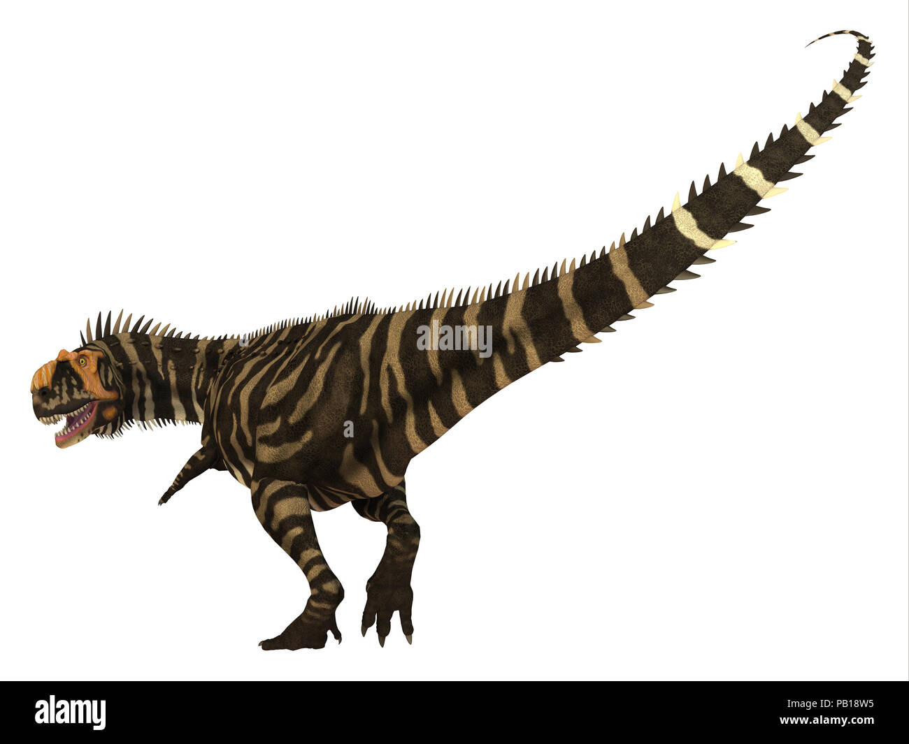 Rajasaurus narmadensis hi-res stock photography and images - Alamy