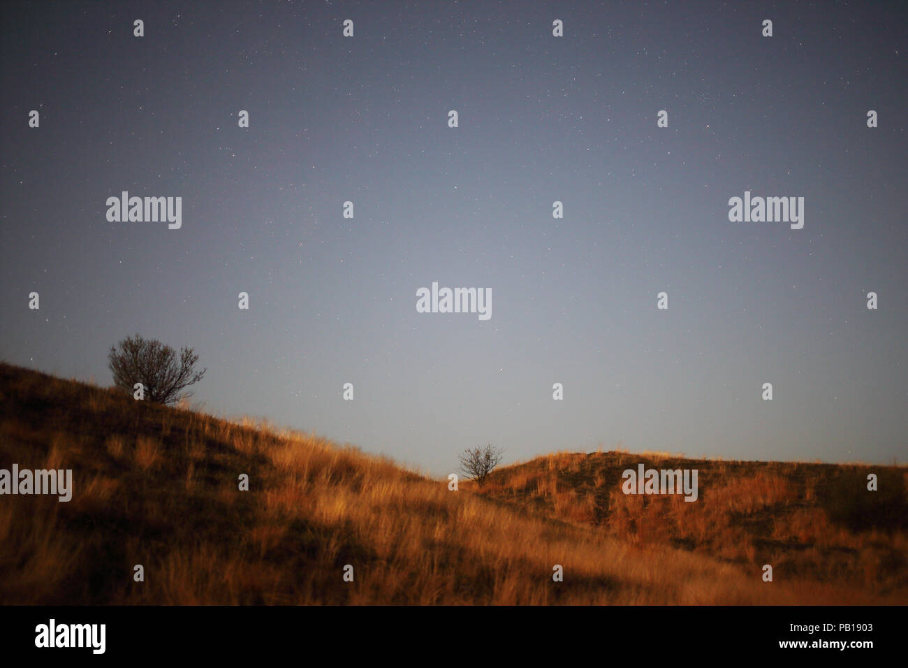 Full moon starry winter night hi-res stock photography and images - Alamy