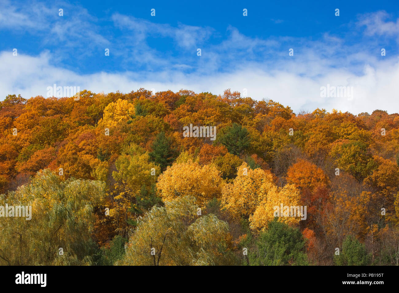 Green mountain national forest hi-res stock photography and images - Alamy