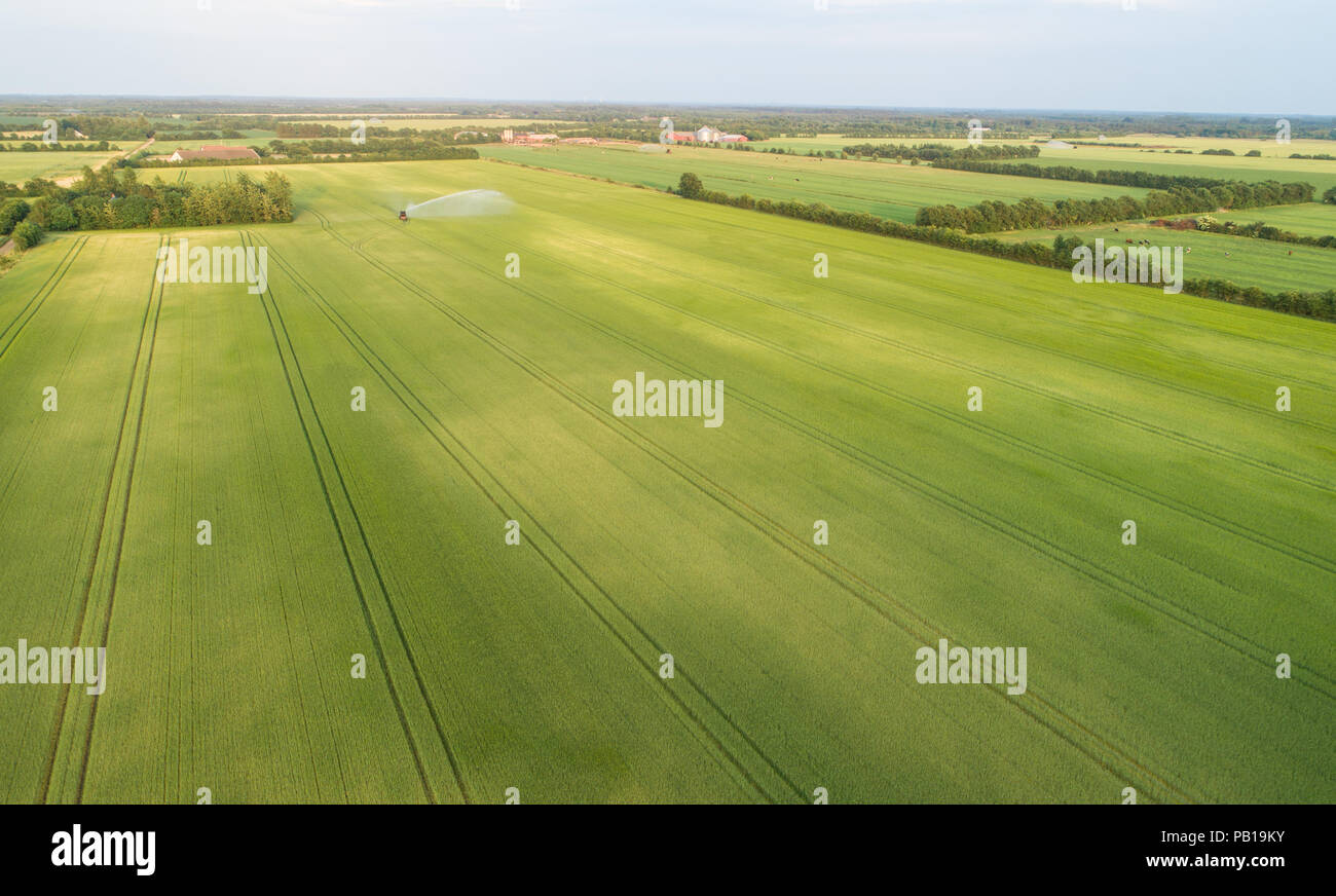 Aerial view of rural Denmark, with seemingly endless crop fields Stock ...