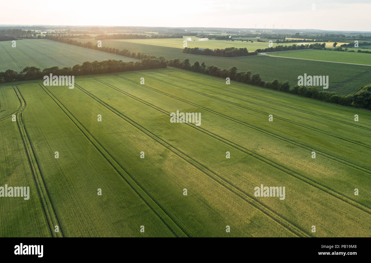 Aerial view of rural Denmark, with seemingly endless crop fields Stock ...