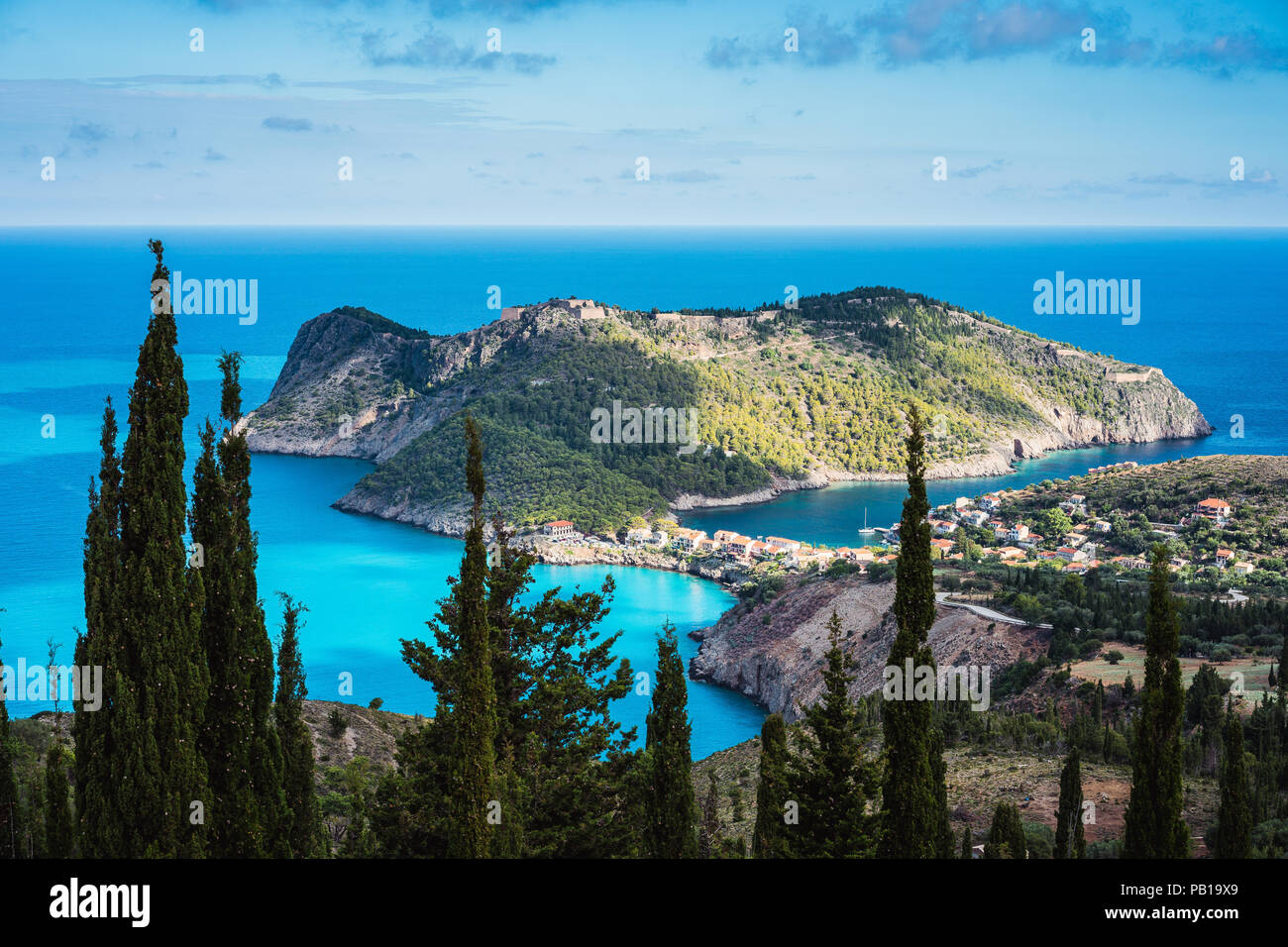 Island Cypress Mediterranean