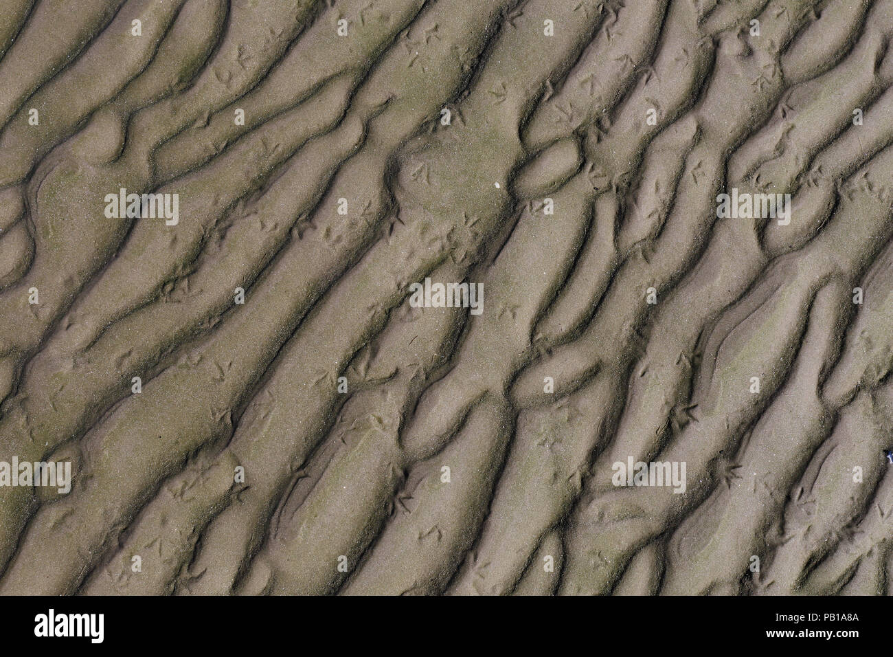 Ripple on sand hi-res stock photography and images - Alamy