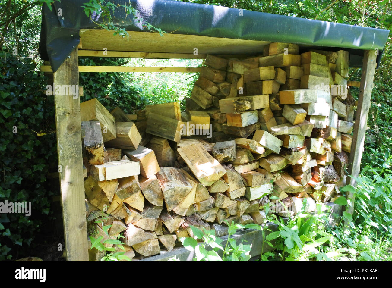 Cut log stack hi-res stock photography and images - Alamy