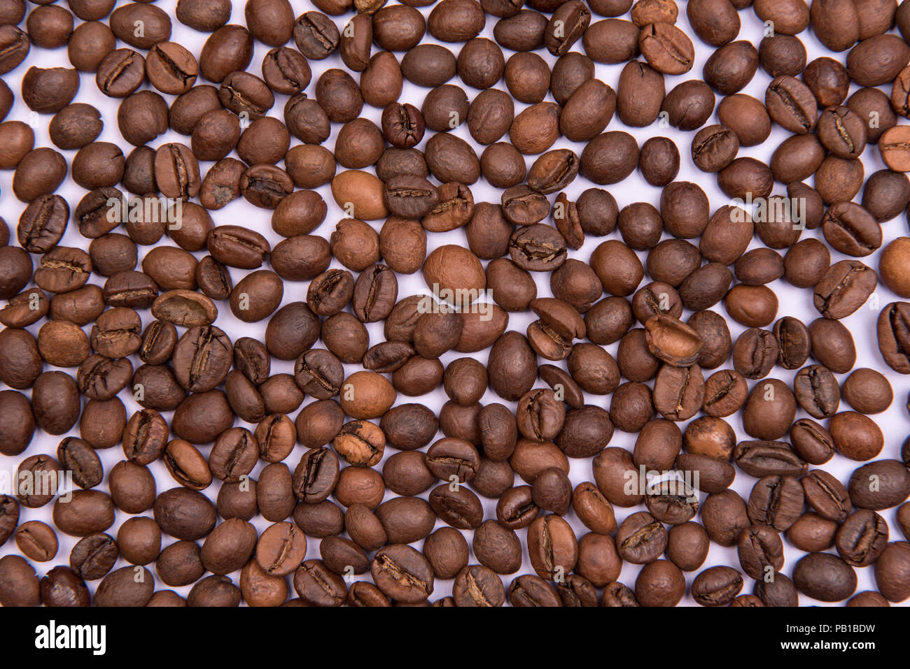 Coffee seeds on a colored background Stock Photo - Alamy