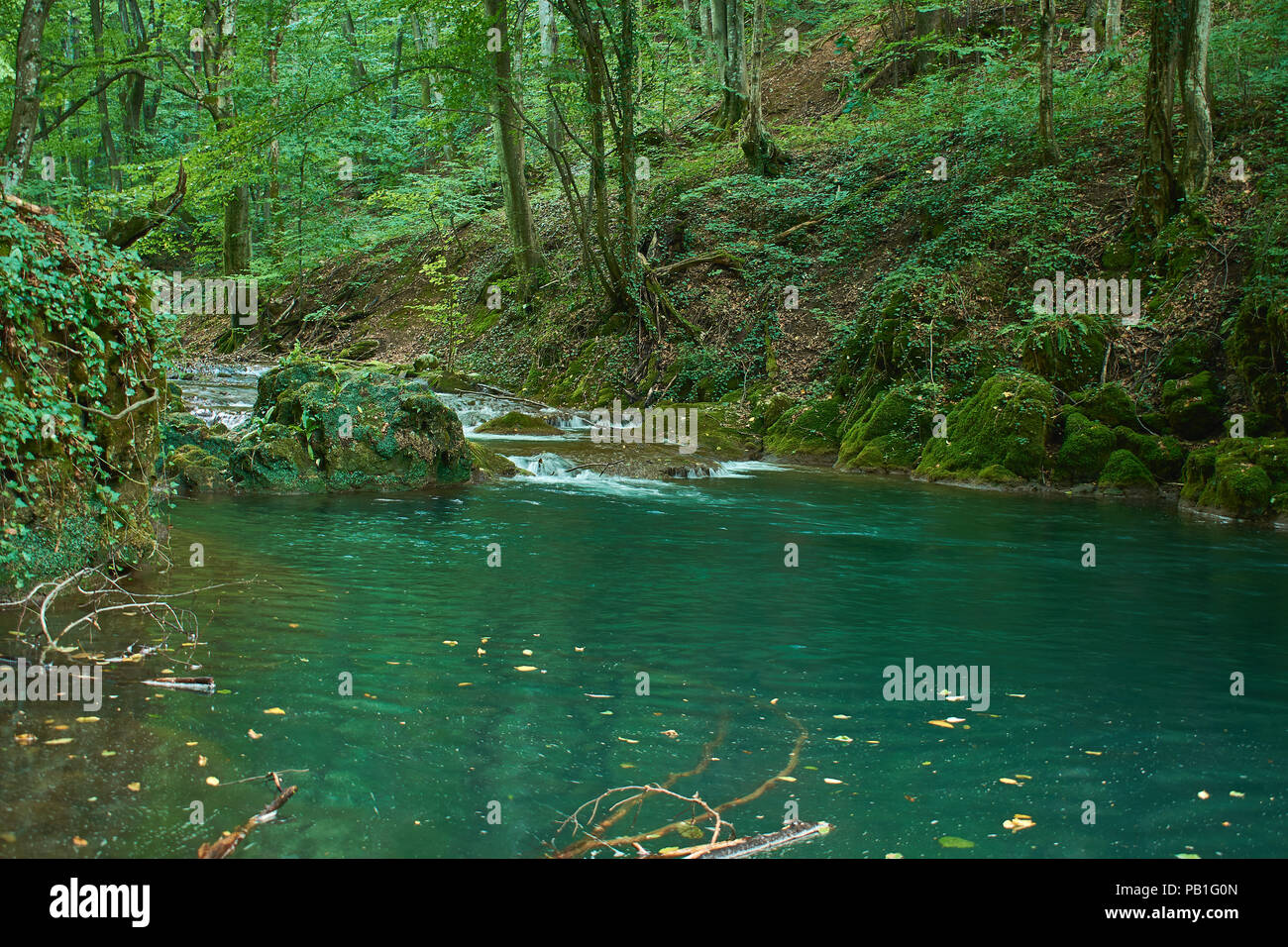 River in the forest Stock Photo - Alamy
