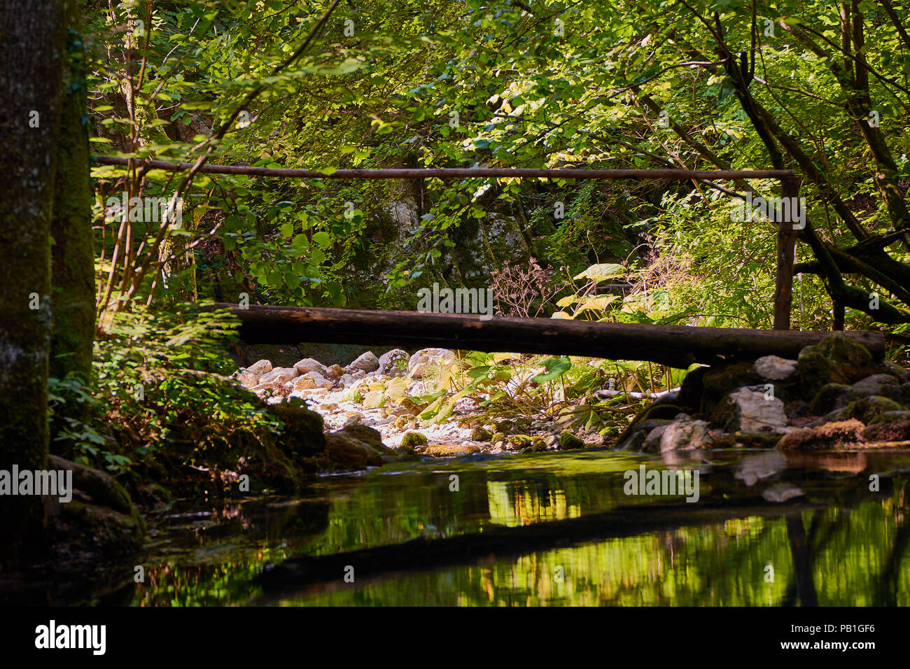 Wooden bridge in the forest Stock Photo - Alamy