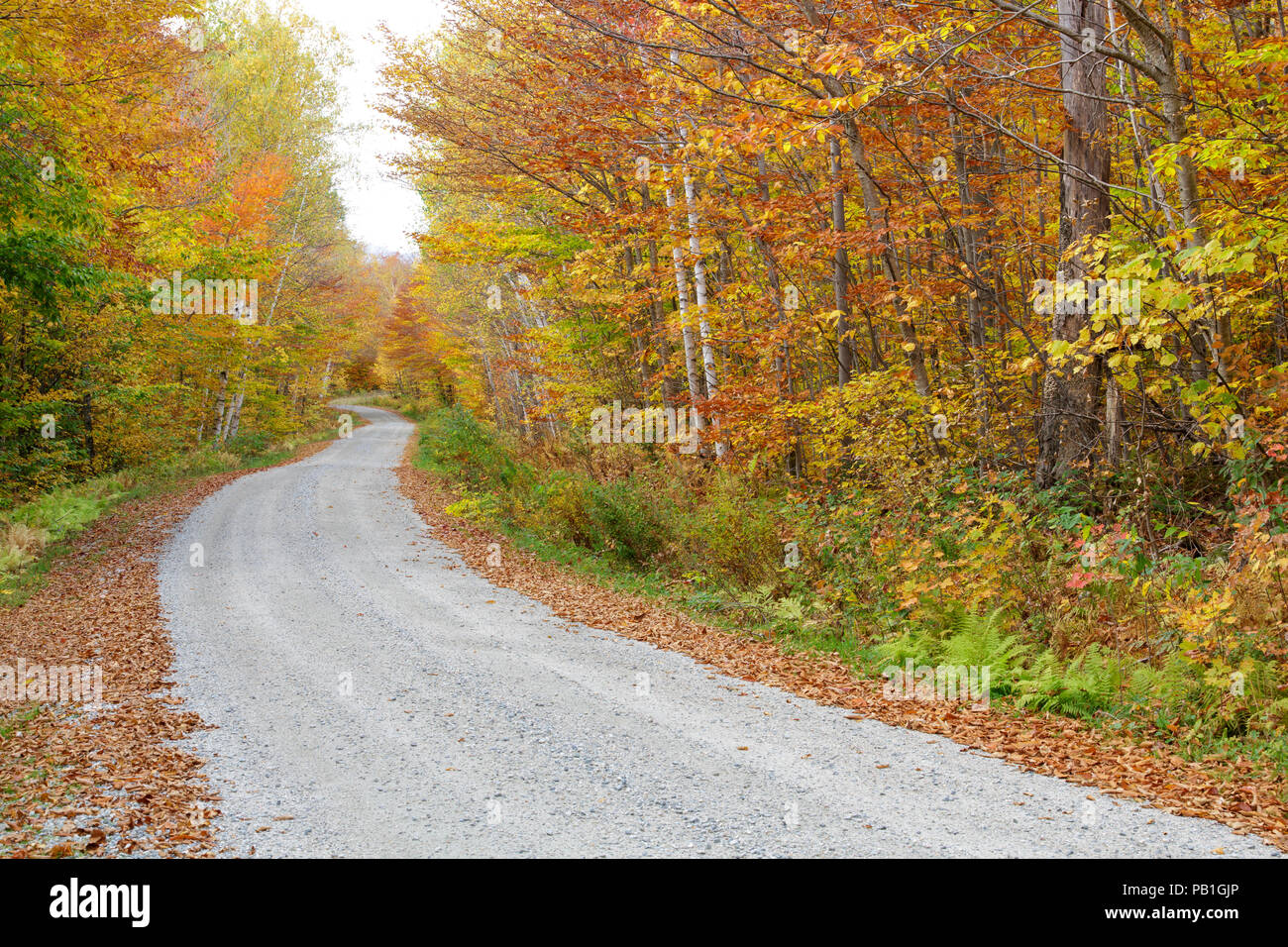 Road outside bethlehem hi-res stock photography and images - Alamy