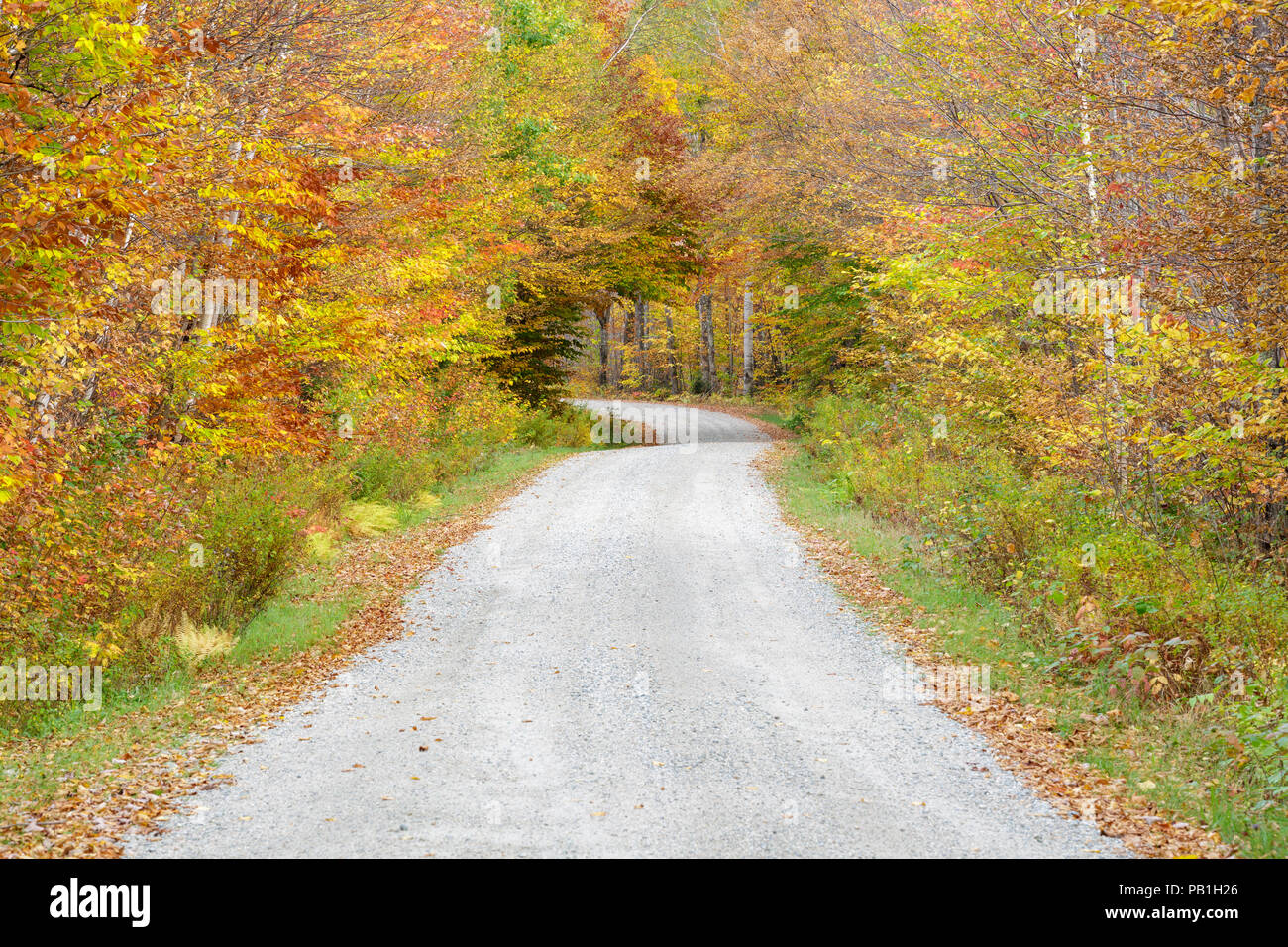 Road outside bethlehem hi-res stock photography and images - Alamy
