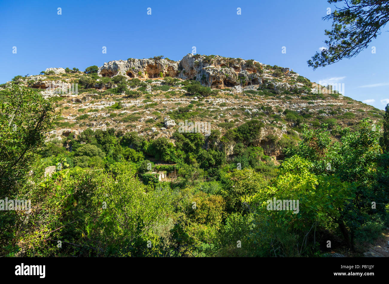 Myli hi-res stock photography and images - Alamy