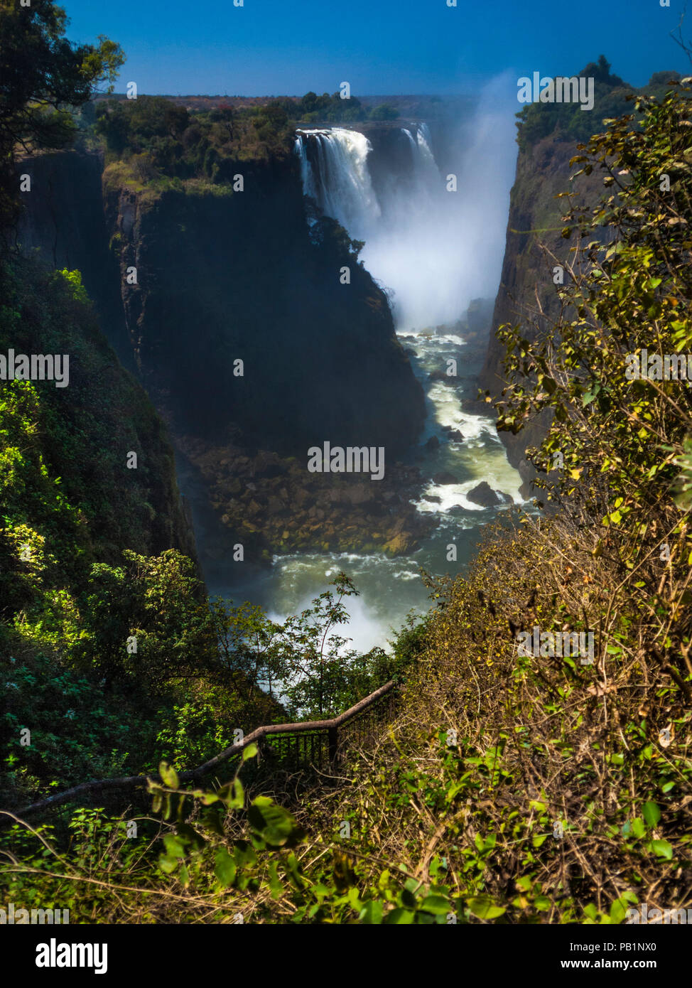 Zimbabwe flowers landscape hi-res stock photography and images - Alamy