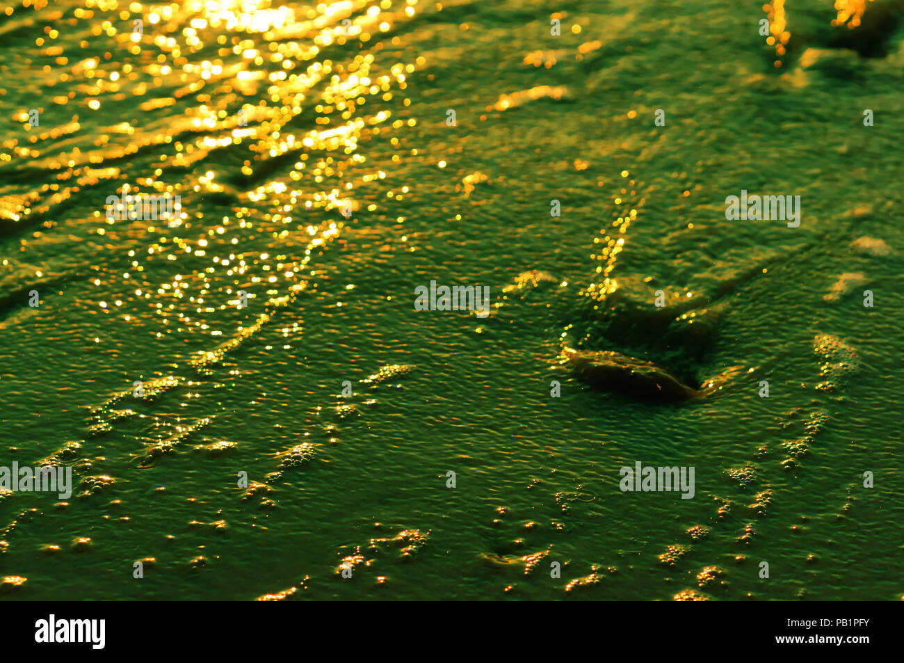 abstract green background, background water, background image Stock ...