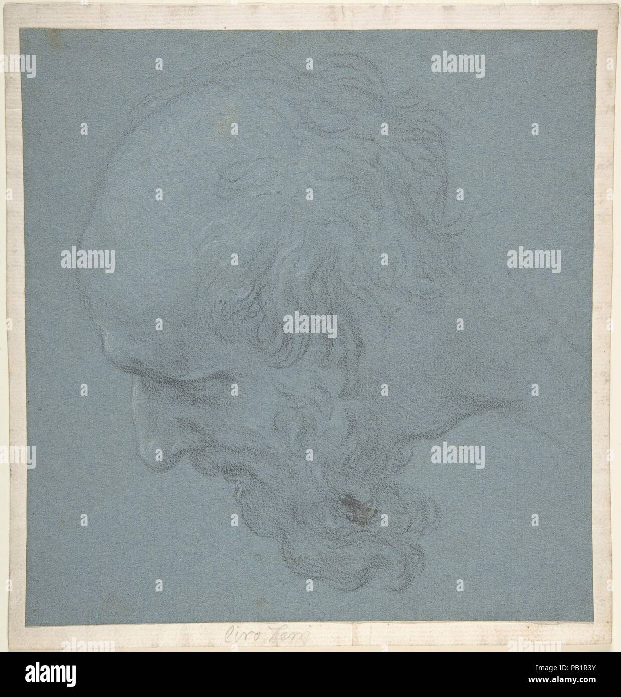 Head of a Bearded Man Looking to Upper Left. Artist: Ciro Ferri ...