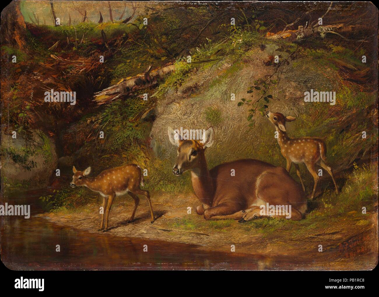 Arthur tait hi-res stock photography and images - Alamy