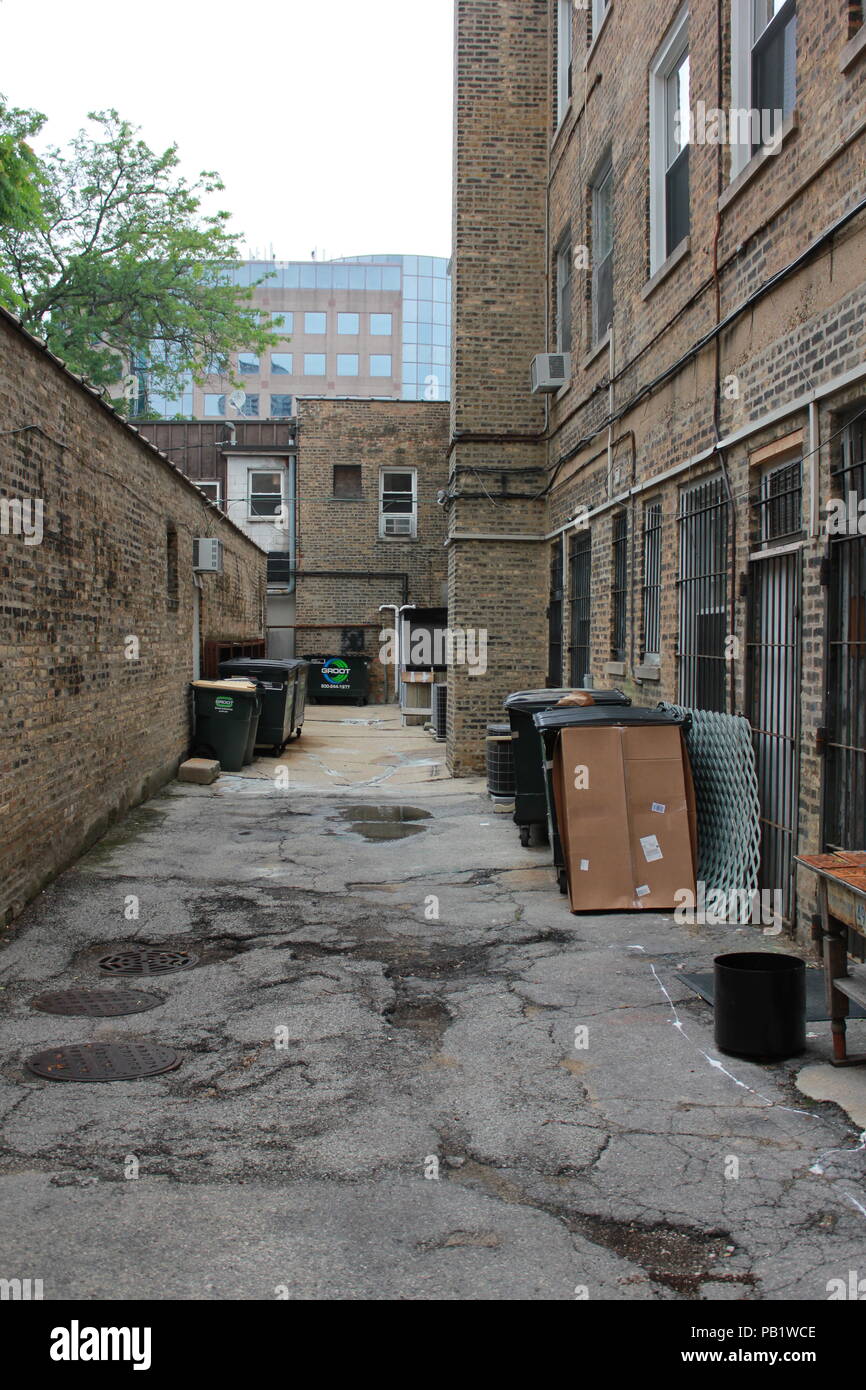 Back Alley of Bookman's Alley bookstore in Evanston, Illinois Stock ...