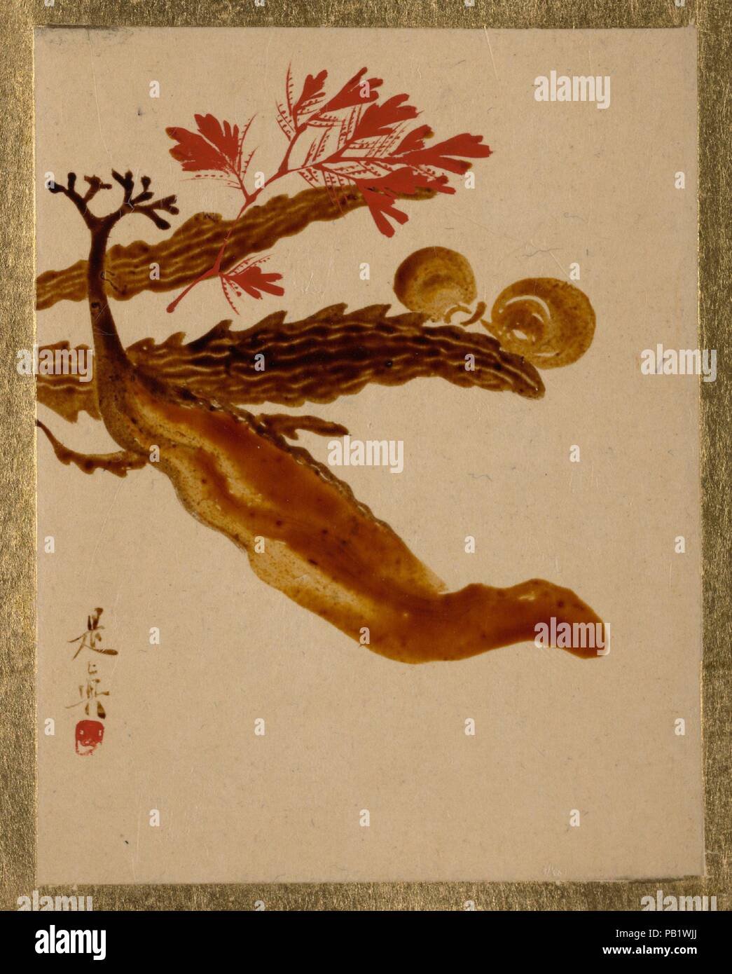 Seaweed. Artist: Shibata Zeshin (Japanese, 1807-1891). Culture: Japan ...