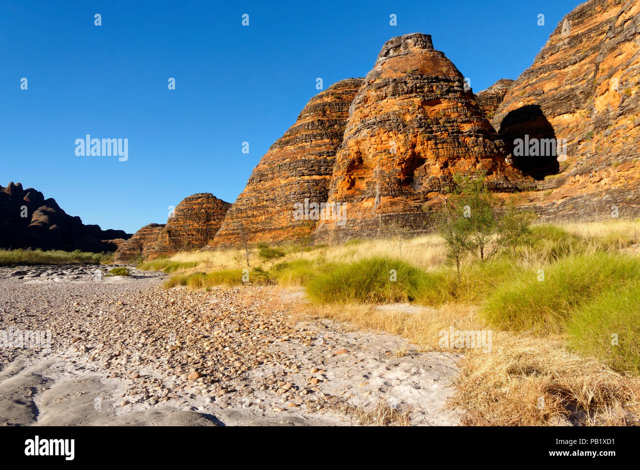 Beehive shape hi-res stock photography and images - Alamy