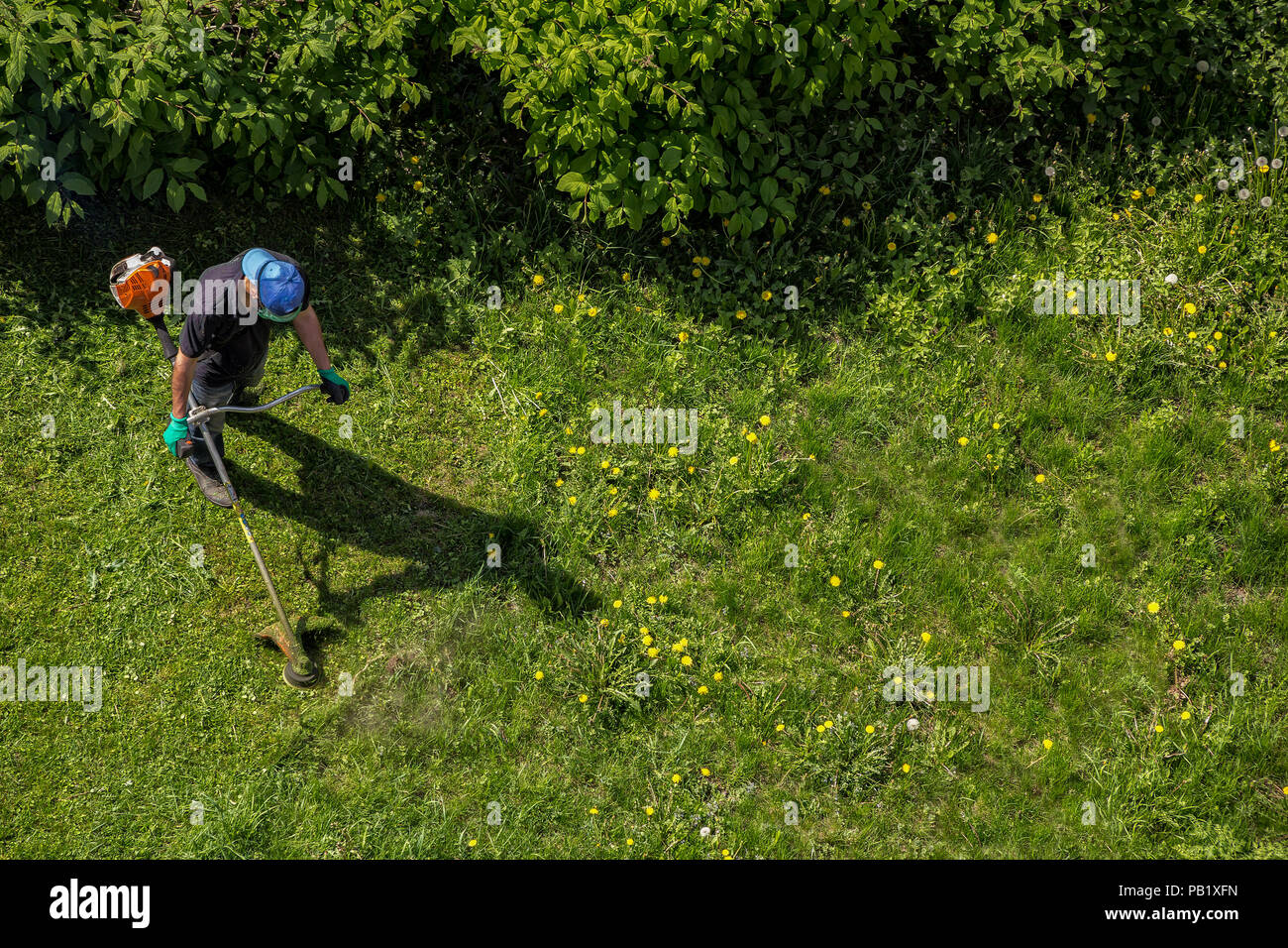 Male worker with power tool string lawn trimmer mower cutting grass ...