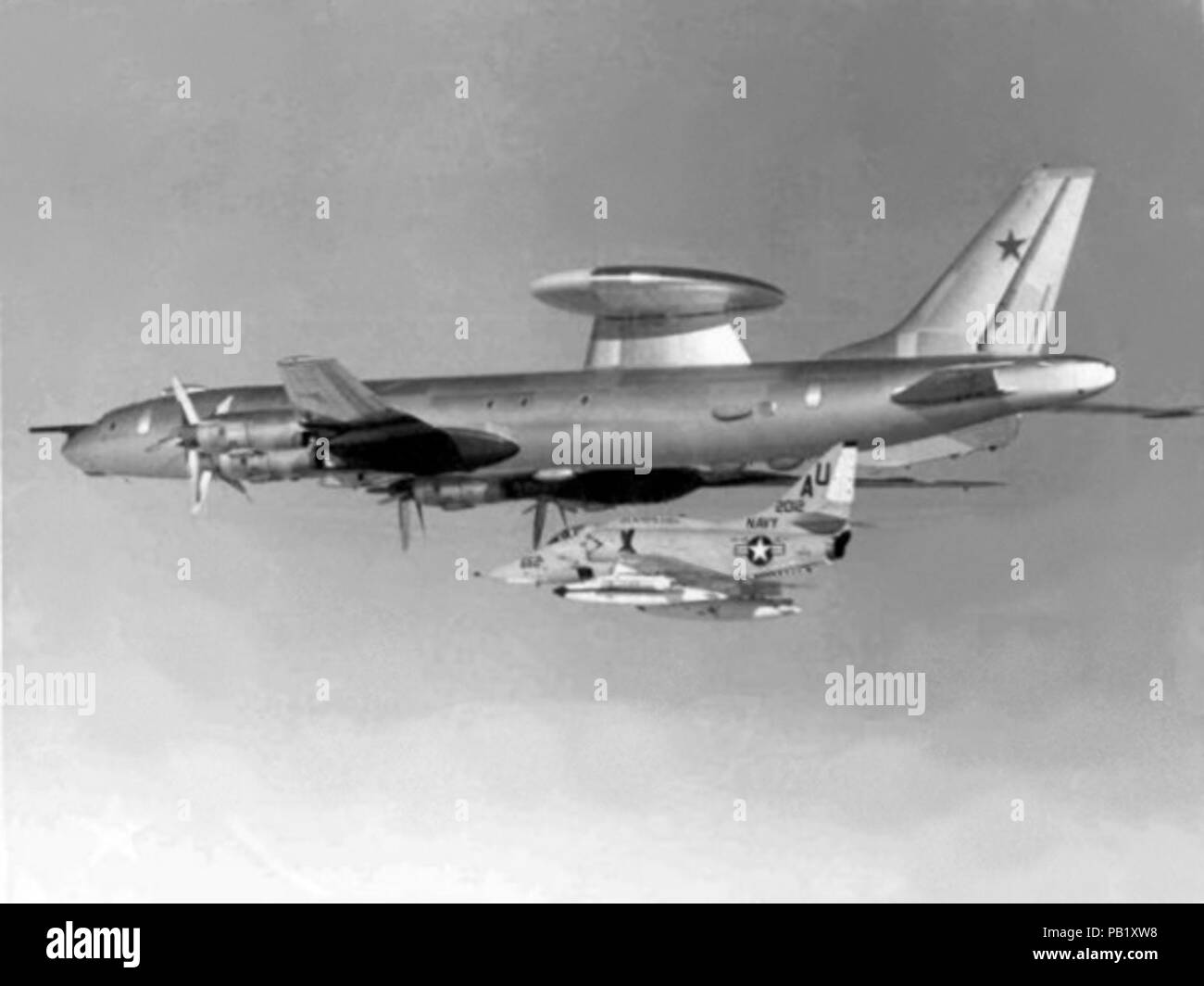 Make a moss garden Black and White Stock Photos & Images - Alamy