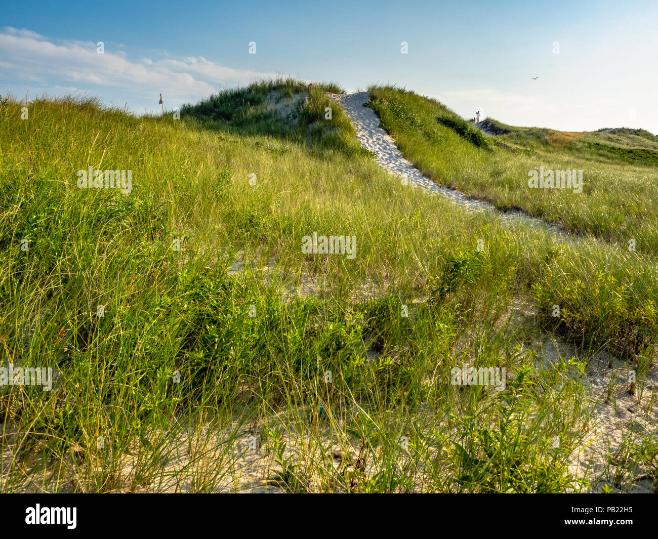 Hamptons Beach High Resolution Stock Photography and Images - Alamy