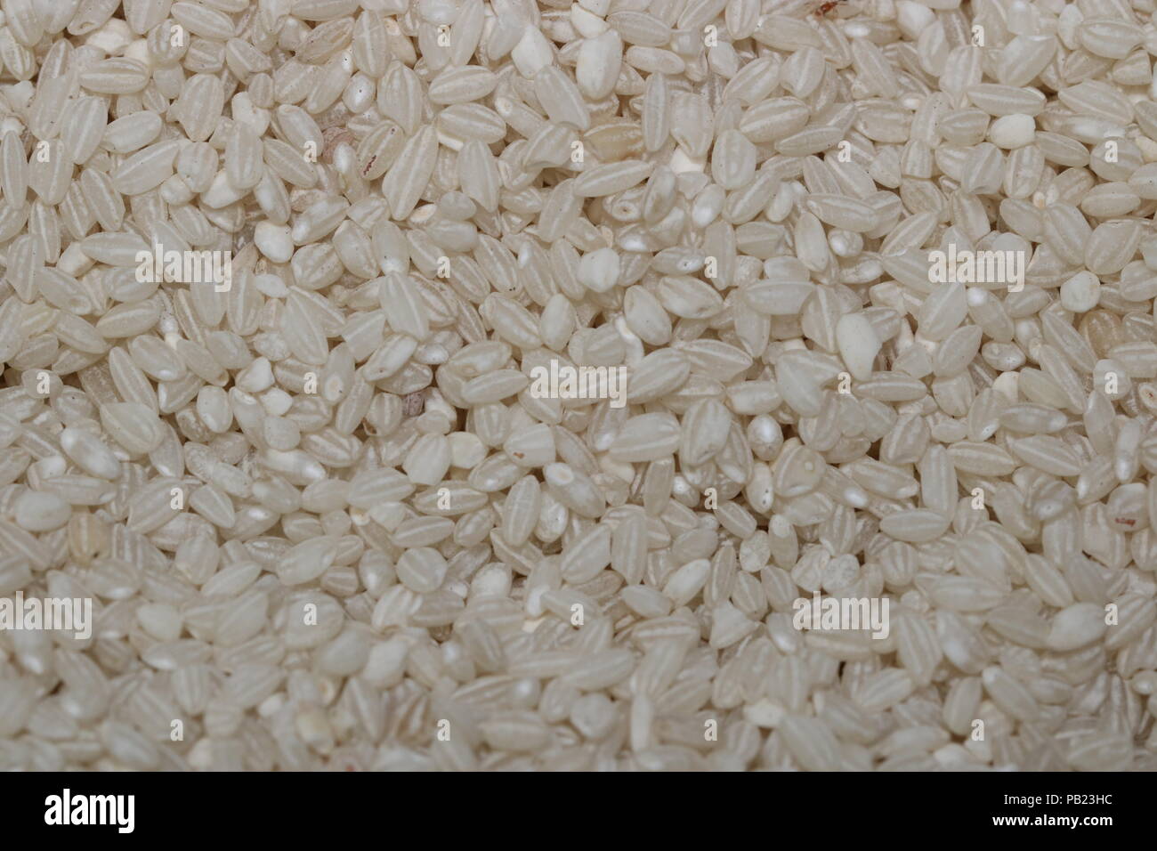 Raw rice hi-res stock photography and images - Alamy