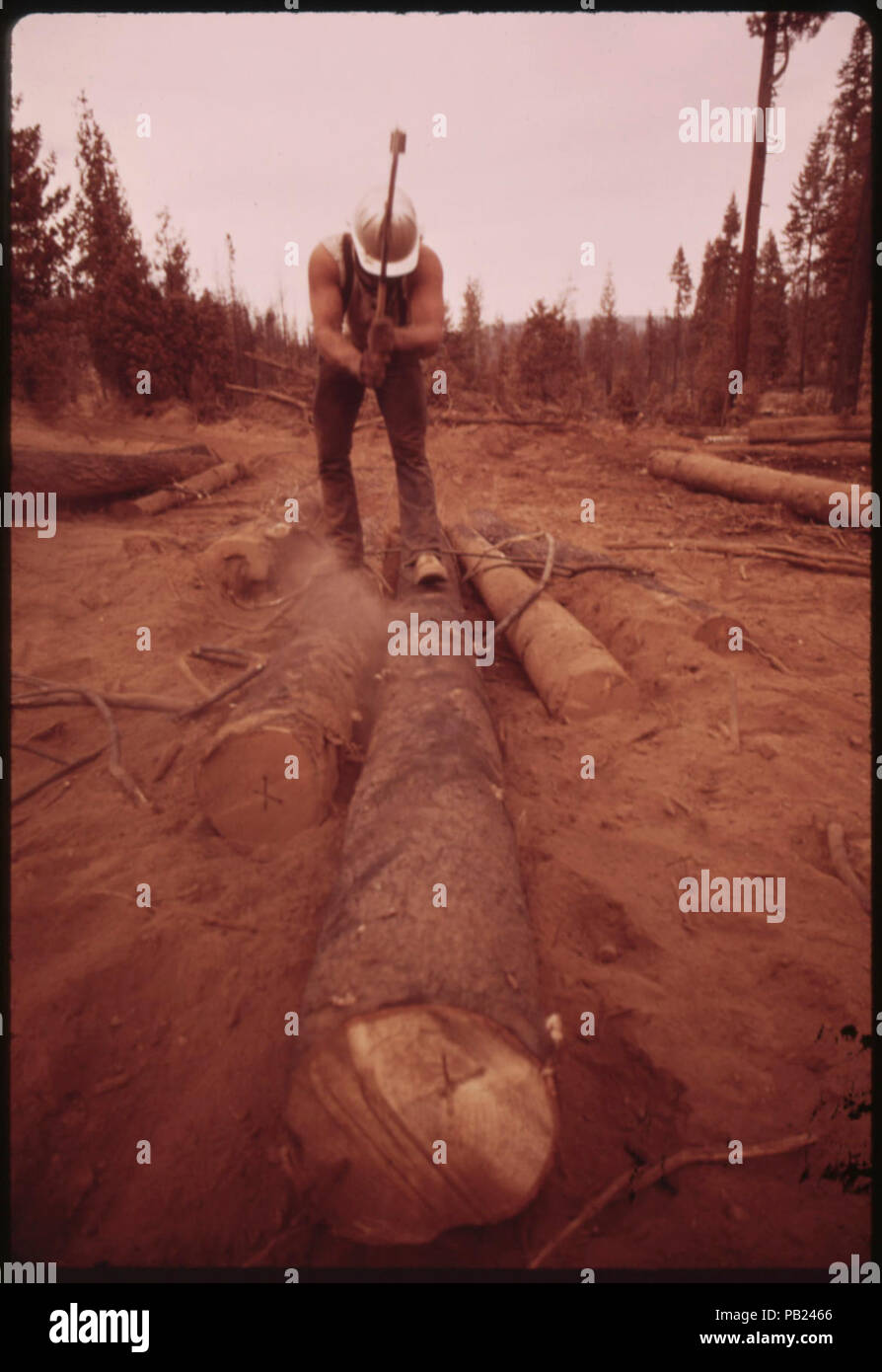 A-cat-skinner-works-in-post-fire-salvage-operations-caterpillar ...