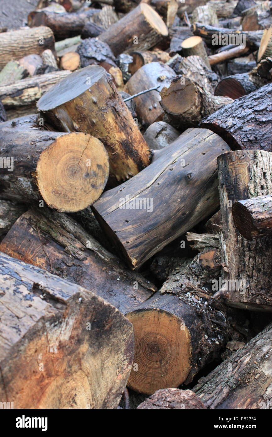 Piles of chopped logs stacked high and far Stock Photo - Alamy