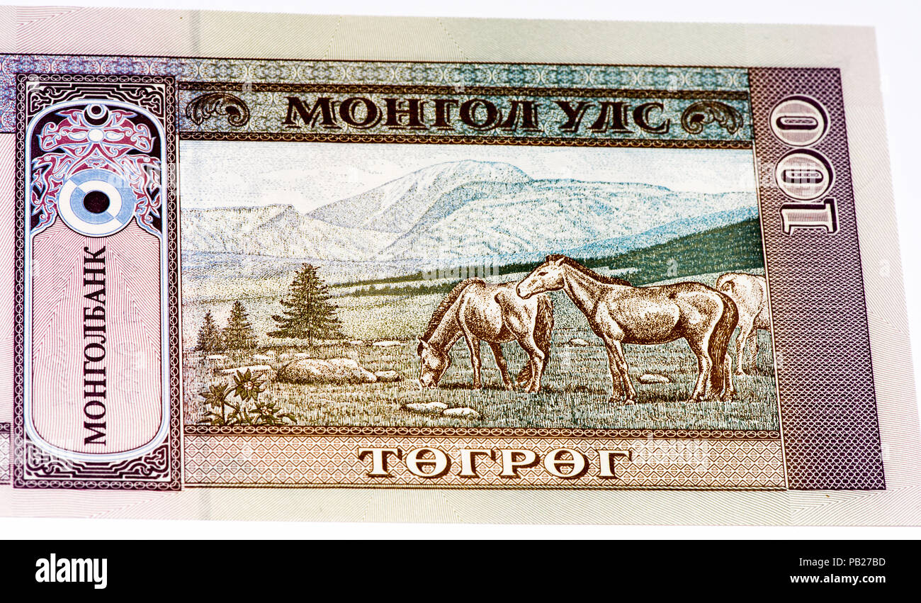 VELIKIE LUKI, RUSSIA - JULY 30, 2015: 100 togrog bank note. Togrog is ...