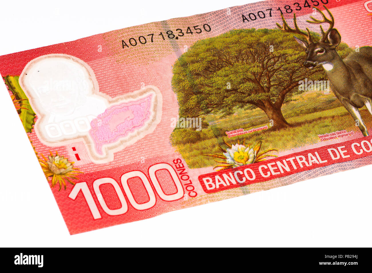1000 Costa Rican colones bank note. Colones is the national currency of ...