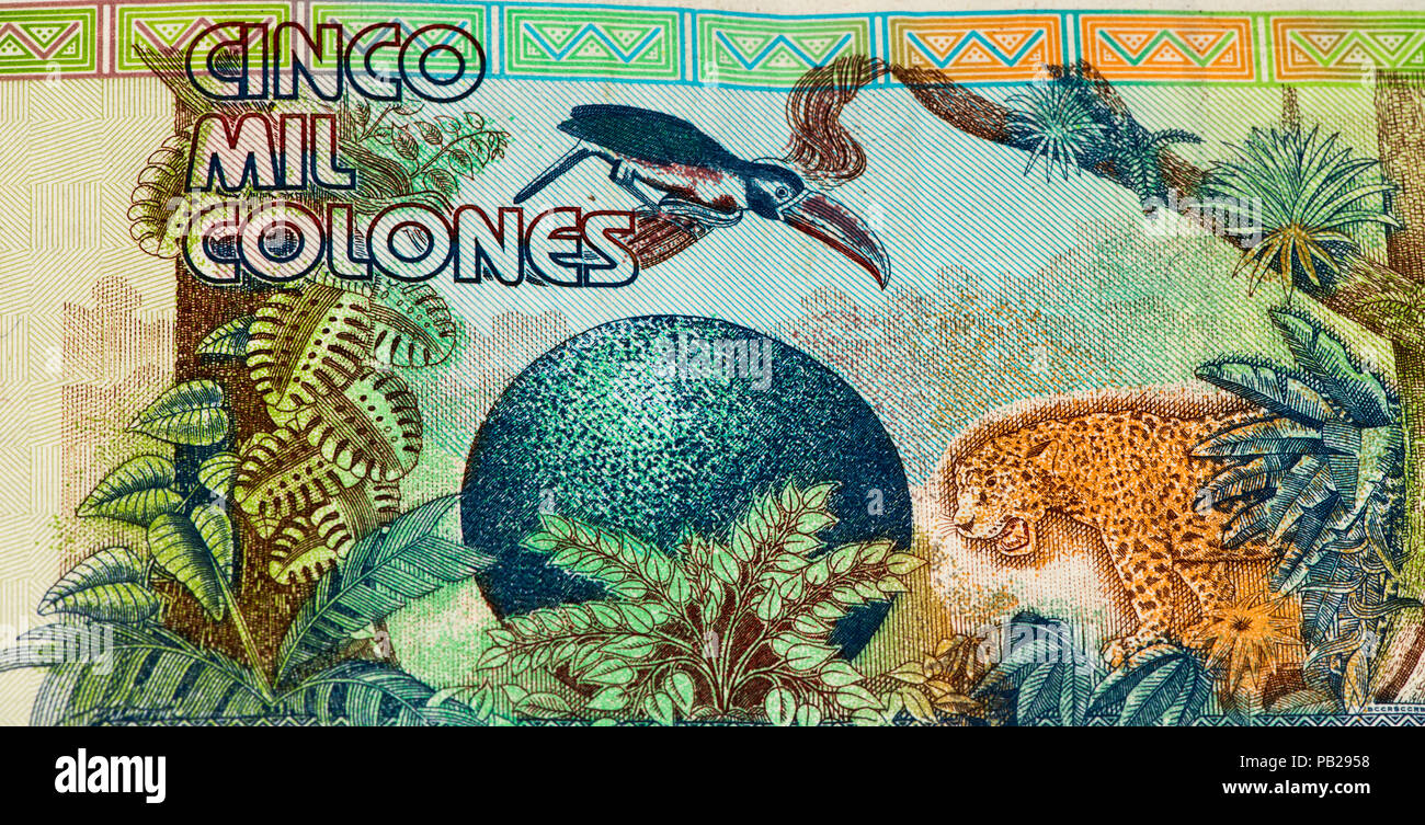 5000 Costa Rican colones bank note. Colones is the national currency of ...