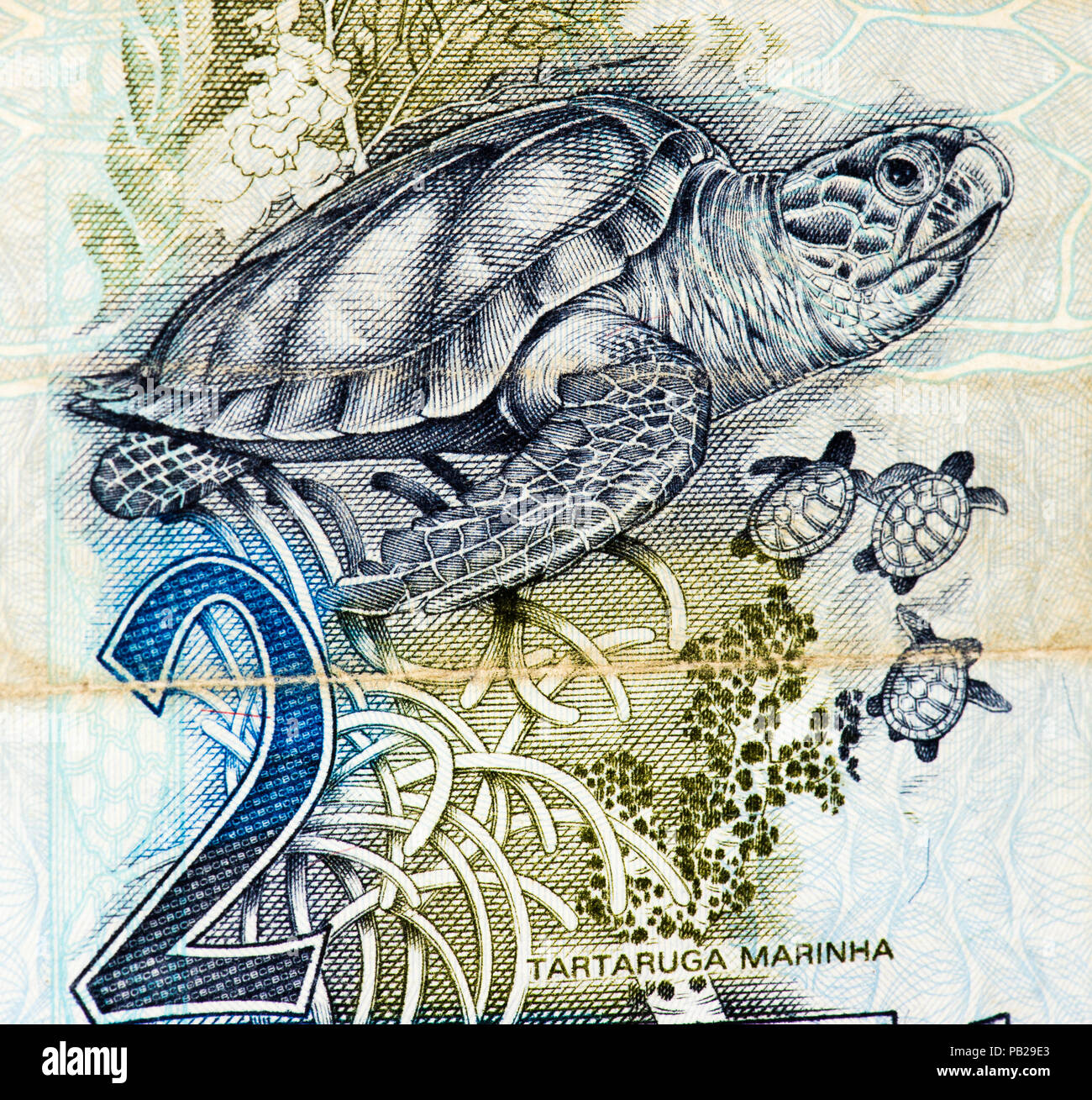 Real brazil currency symbol icon hi-res stock photography and images ...