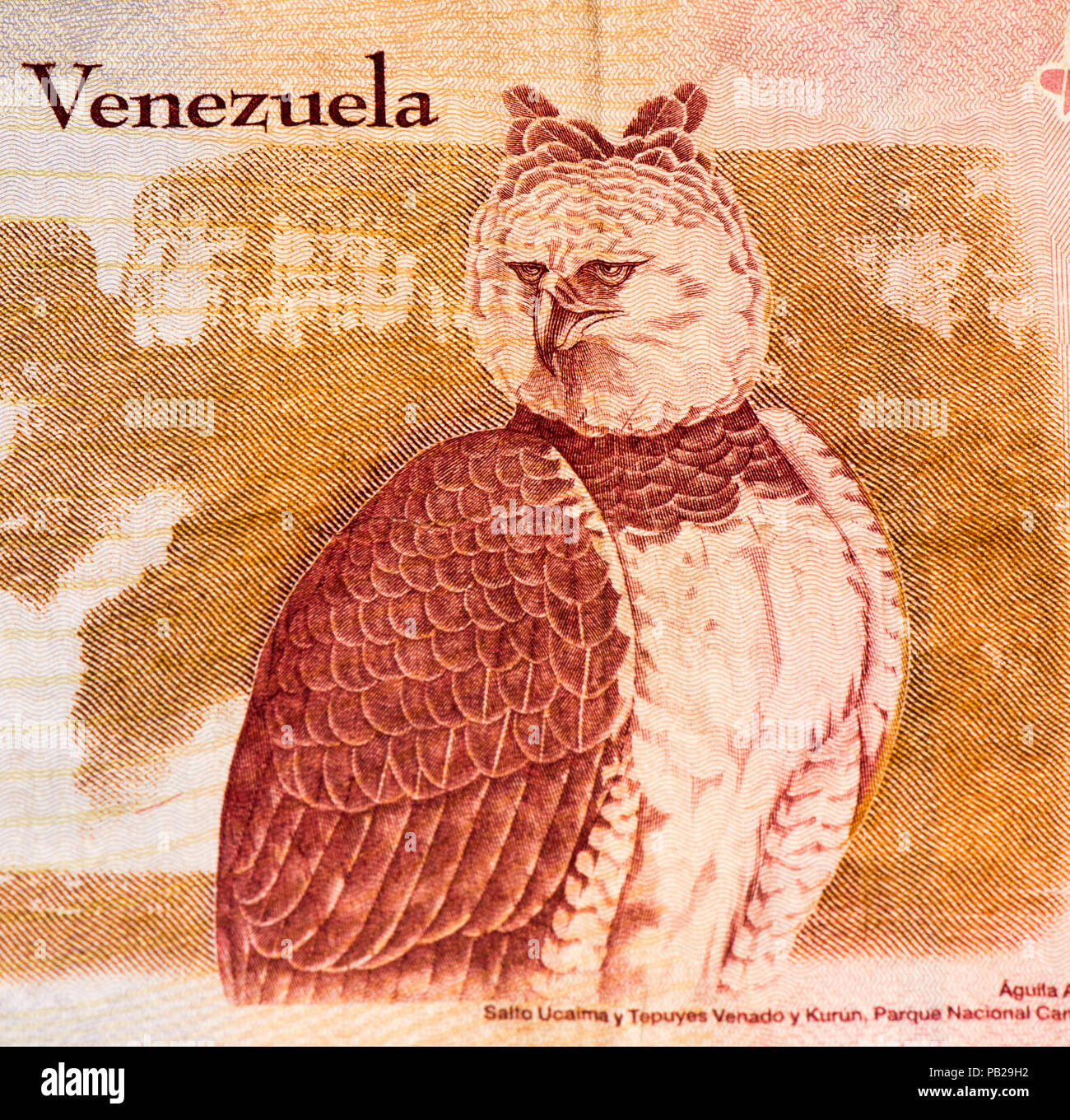10 Venezuelan bolivares bank note. Bolivares fuertes is national ...