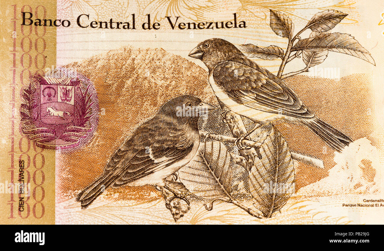 100 bolivar note hi-res stock photography and images - Alamy