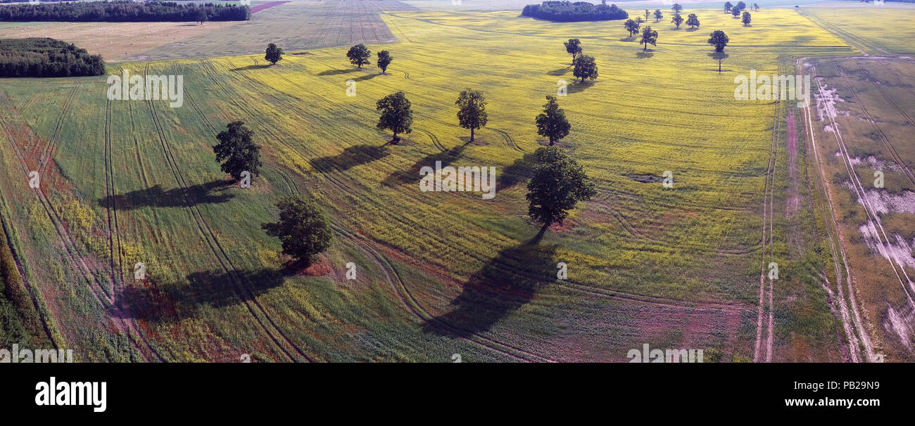 Beautiful farmland field old oaks hi-res stock photography and images ...