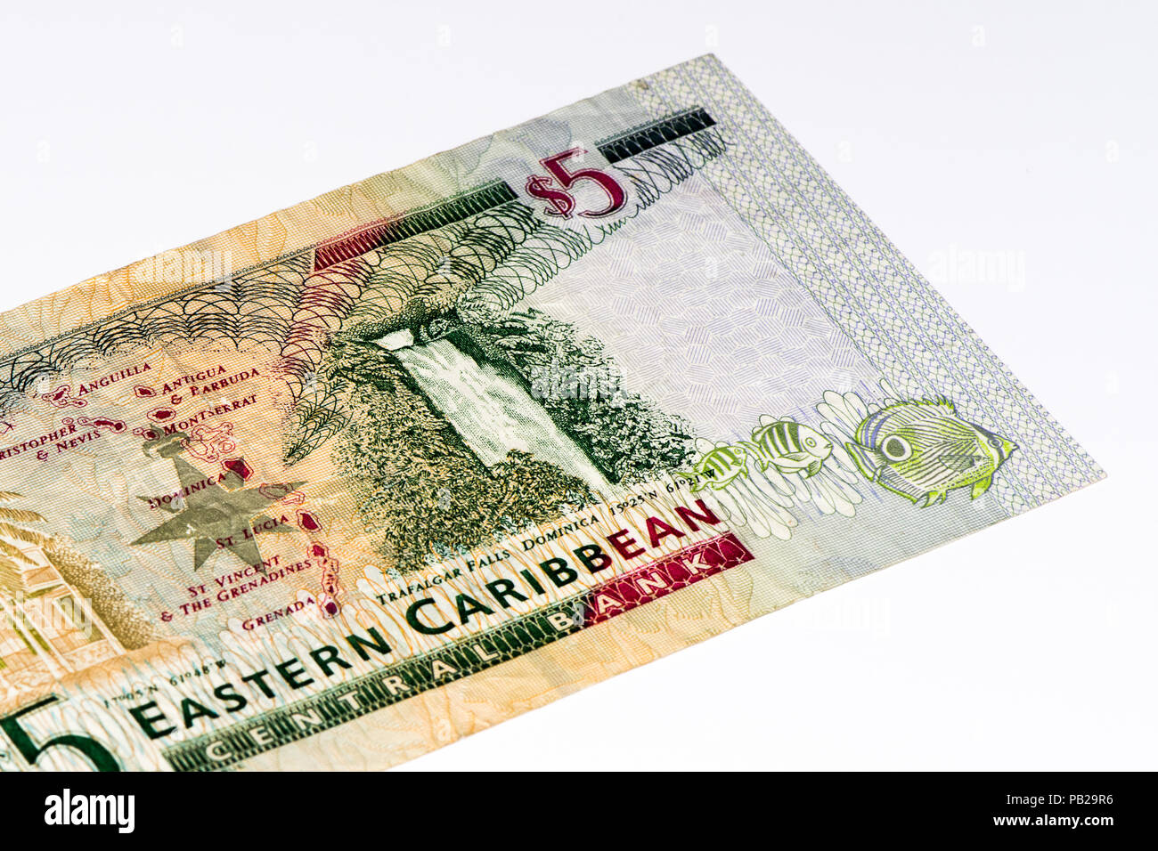 5 Eastern Caribbean dollars bank note Stock Photo - Alamy
