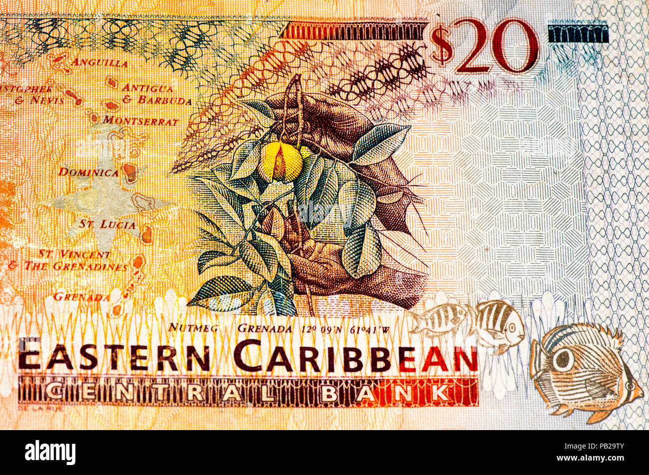20 Eastern Caribbean dollars bank note Stock Photo - Alamy